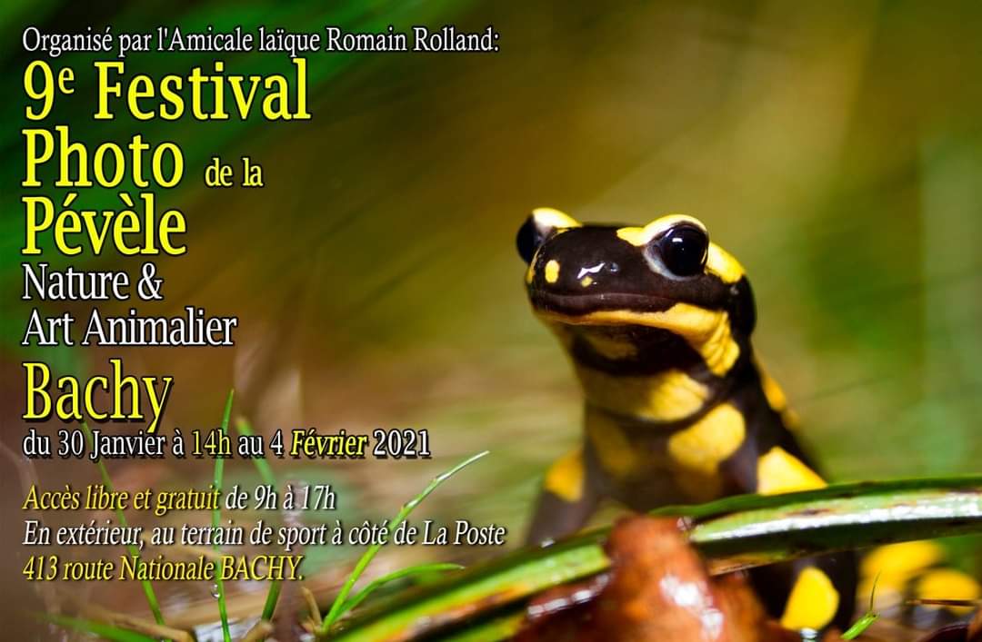 Bilan 2020/2021 – Bernard Claessens Photographies