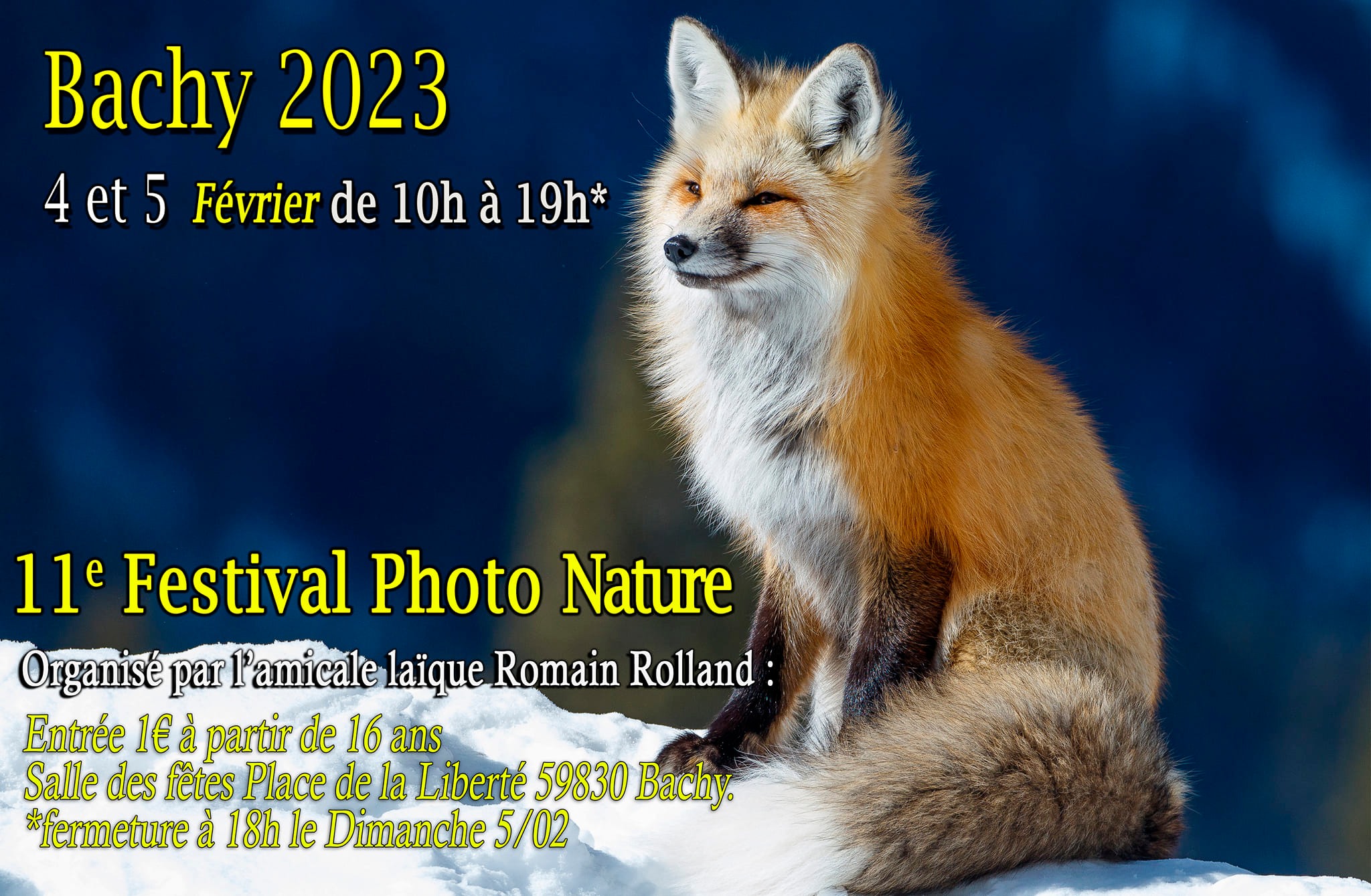 11ème Festival Photo Nature, Bachy 2023 – Bernard Claessens Photographies